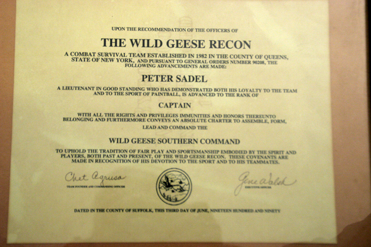 Wild Geese - Coram, Long Island